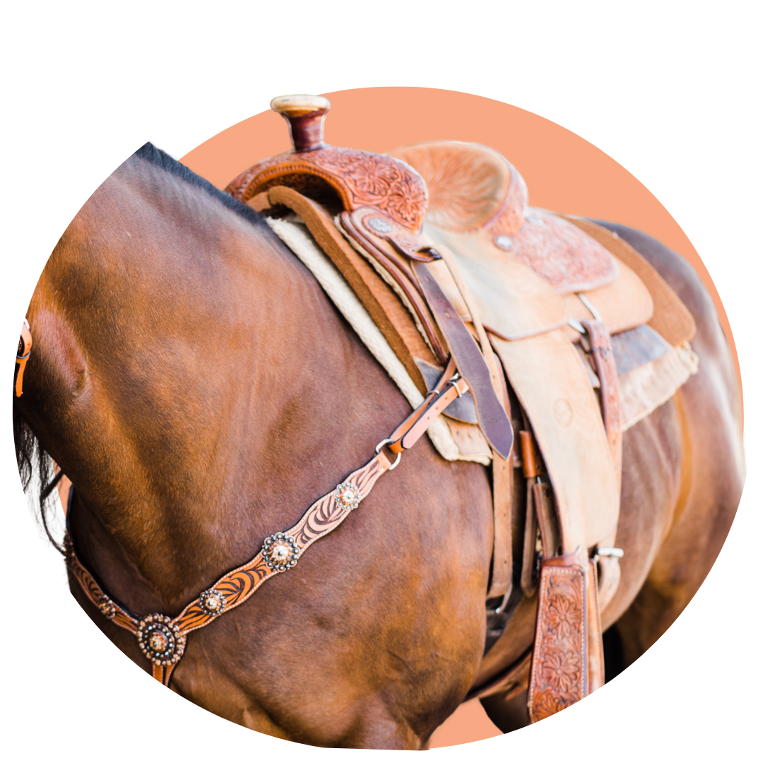 Custom tack for horses, custom dog collars and wild rags
