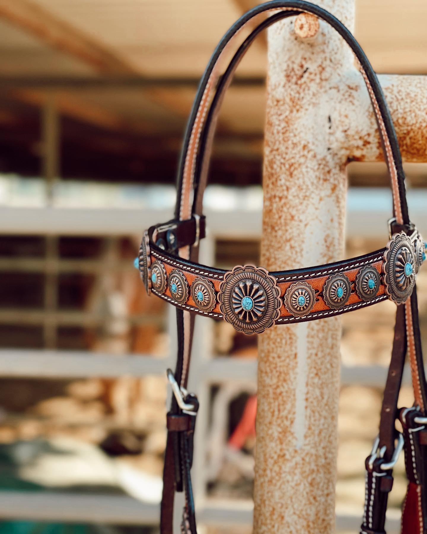 Custom tack for horses, custom dog collars and wild rags