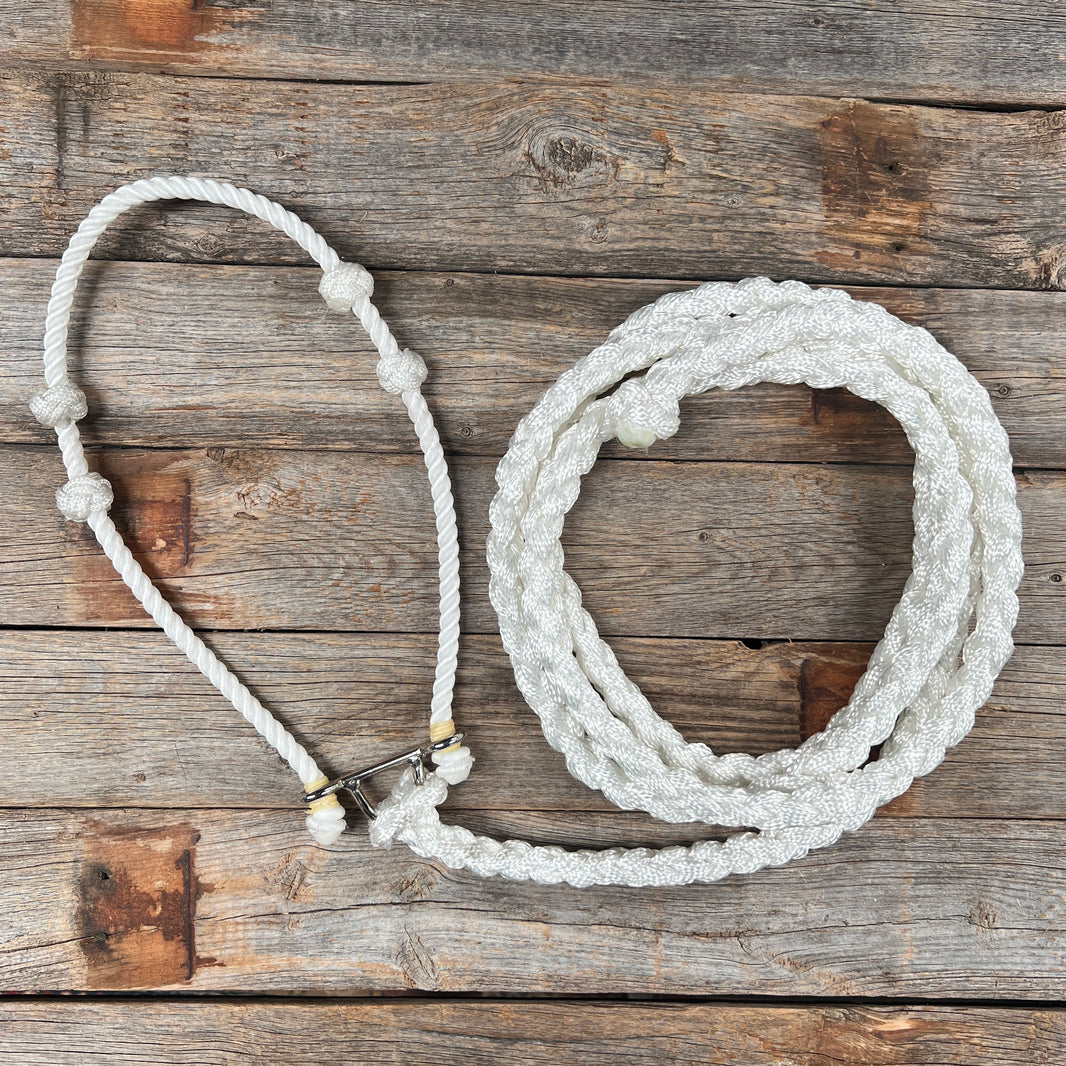 Designer Lariat Halter