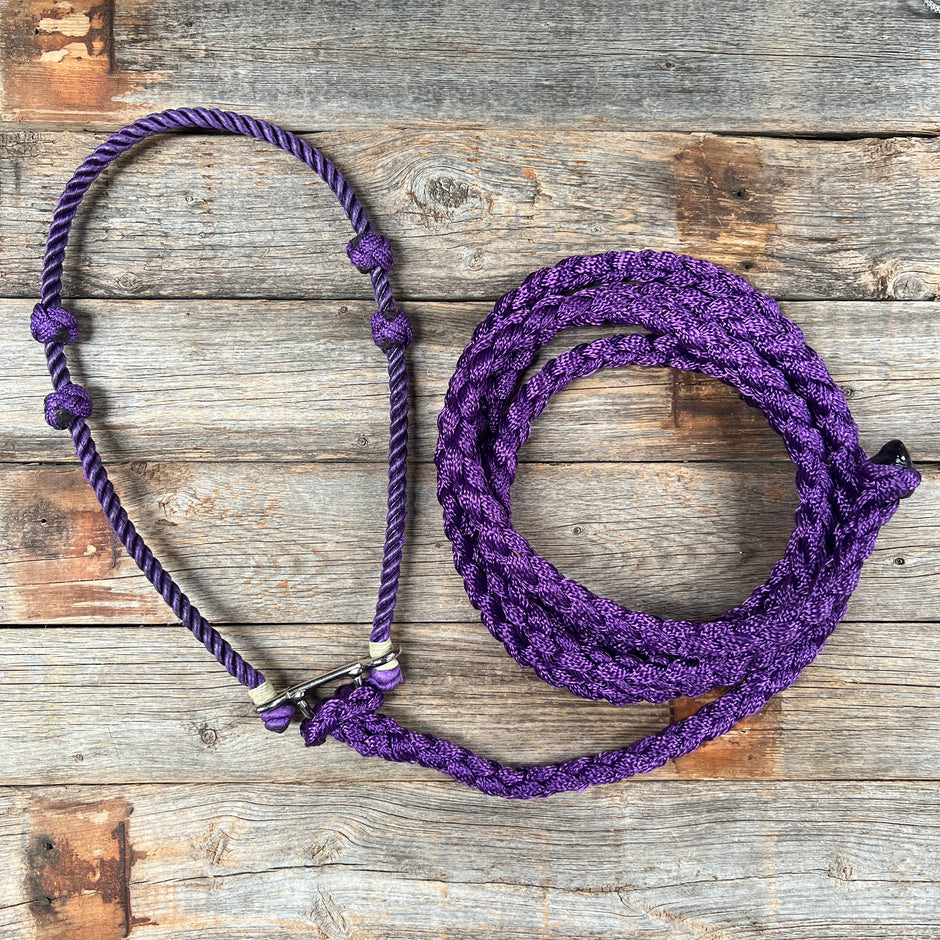 Designer Lariat Halter